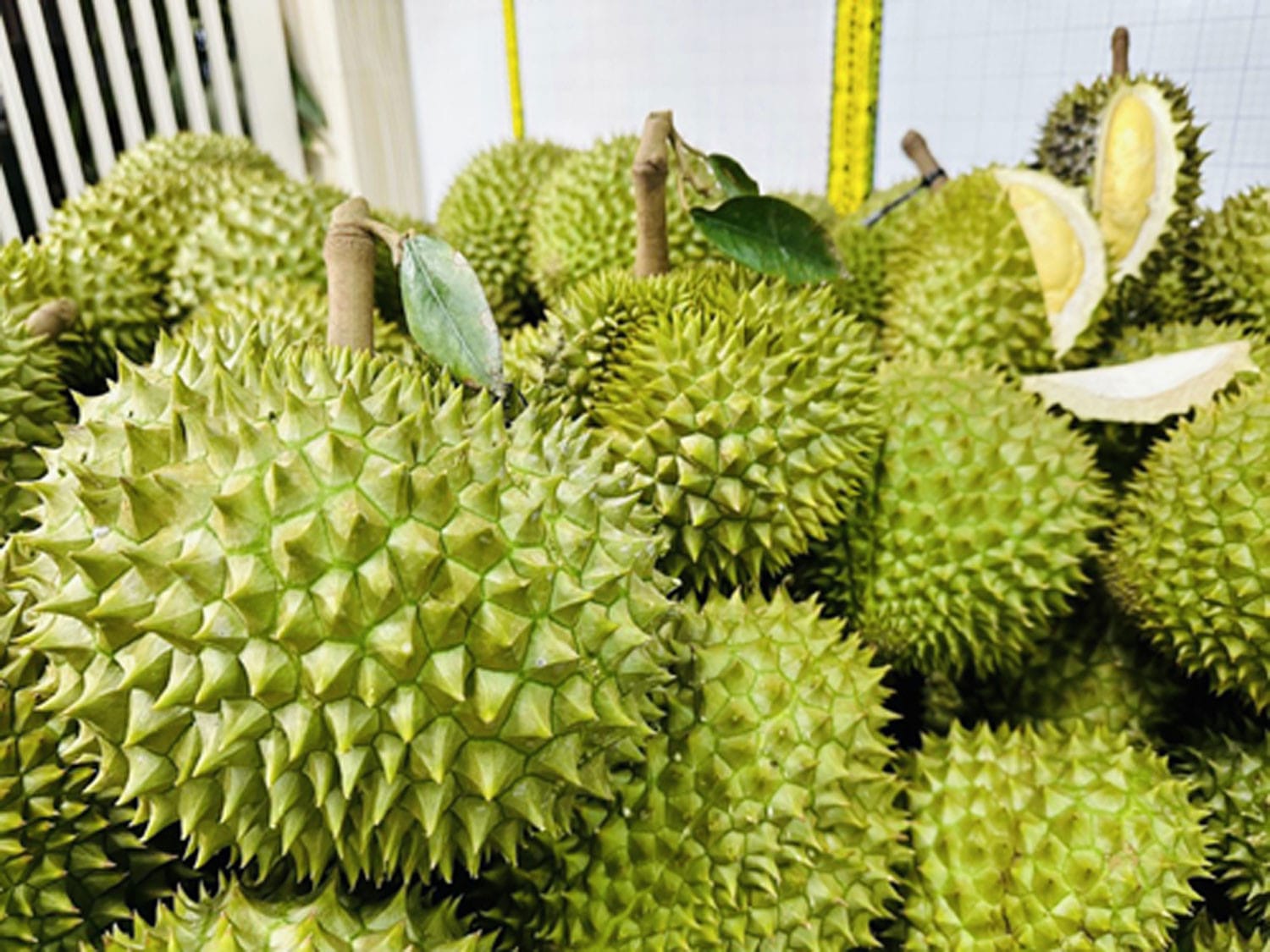Vietnam's Durian Exports Surge by 74% in 2024 | Dragon Hub - Vietnam ...